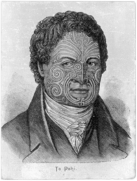 NGĀTI TAMA TŪPUNA - Ngāti Tama