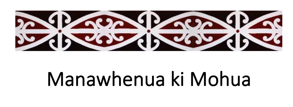 Mohua - Ngāti Tama